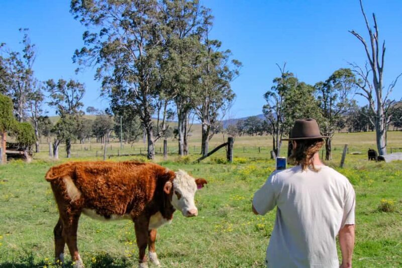 Newcastle: Hunter Valley River & Farm Tour with BBQ - Key Points