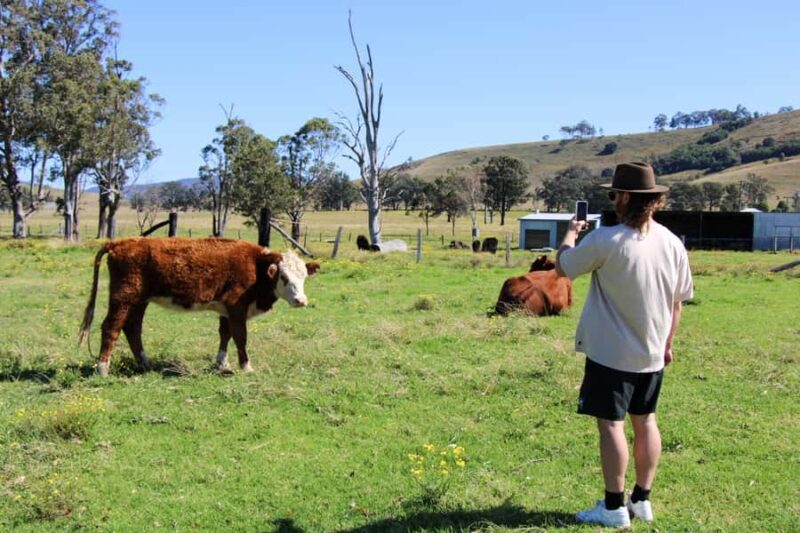 Newcastle: Hunter Valley River & Farm Tour with BBQ - Final Thoughts