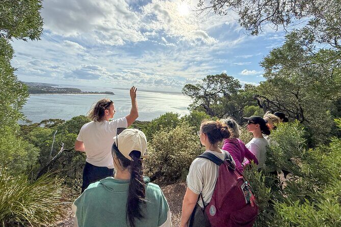 Newcastle: Port Stephens day tour - Dolphins, hike & swim! - Who Should Consider This Tour?