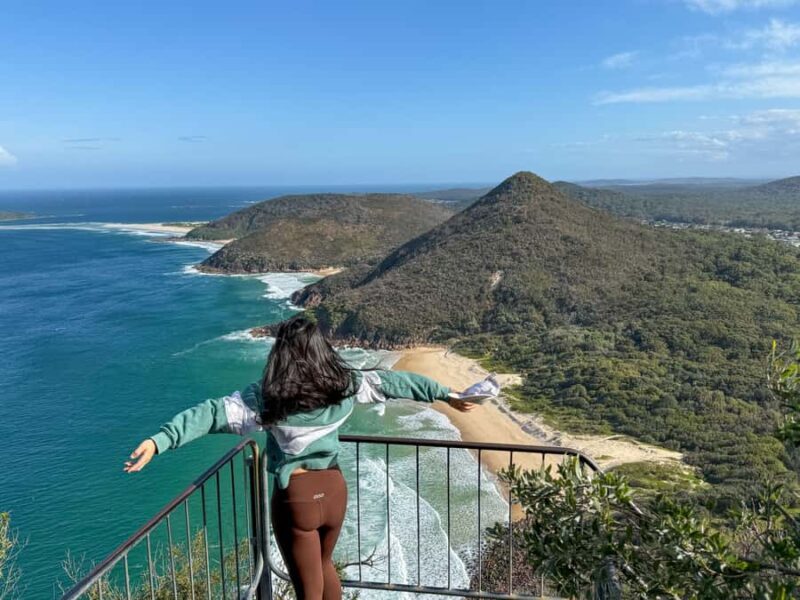 Newcastle: Port Stephens day tour. Dolphins, hike, swim. - Authentic Experiences & Review Insights