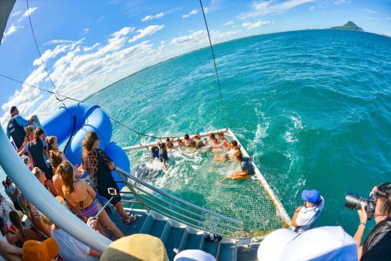 Newcastle: Port Stephens day tour. Dolphins, hike, swim. - FAQ