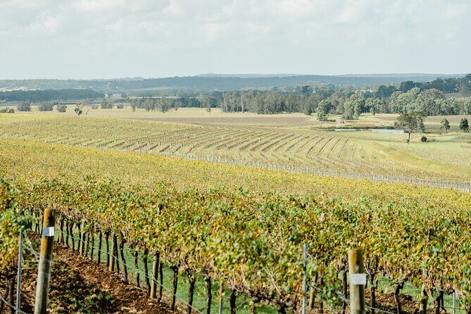 Newcastle: Private Hunter Valley Wine Tour - FAQs  