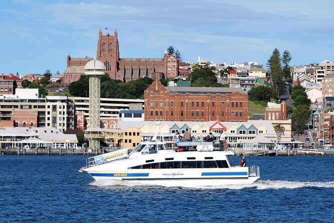 Newcastle Whale Watching Cruise - An In-Depth Look at the Newcastle Whale Watching Experience
