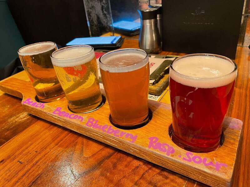 Newfoundland Beer Tasting Tour in St. John's - Key Points