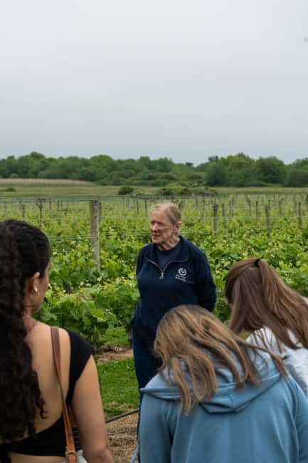 Newport: Vineyards Winery Tour + Tasting - Key Points