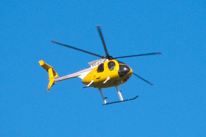 NF USA - Luxury Helicopter Tour with Maid of the Mist & Lunch - Who Will Love This Tour?