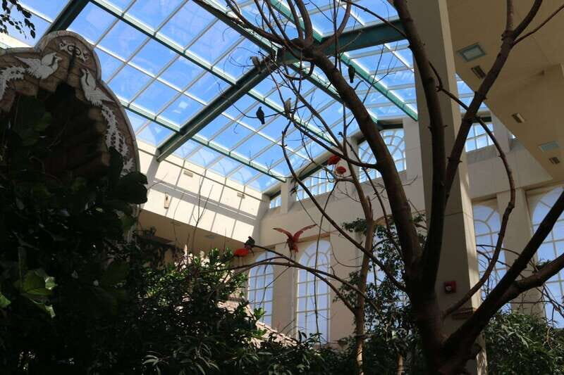 Niagara Falls, Canada: Bird Kingdom Entry Ticket - Key Points