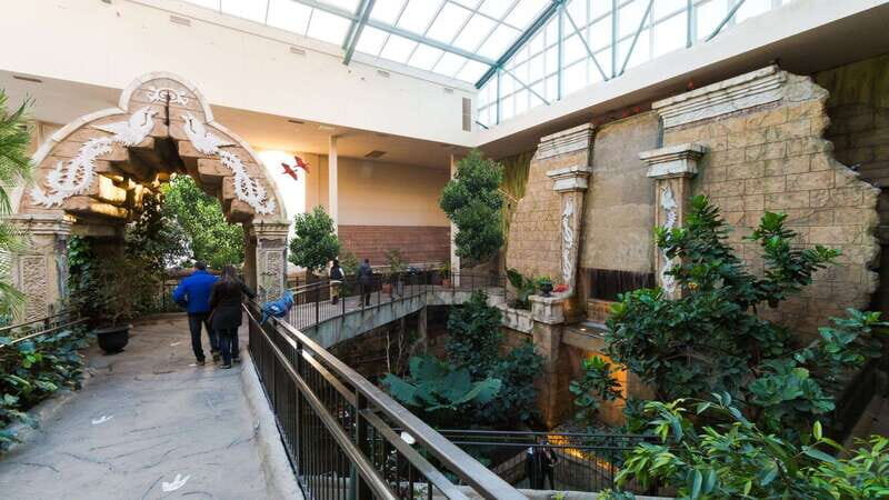 Niagara Falls, Canada: Bird Kingdom Entry Ticket - Final Thoughts