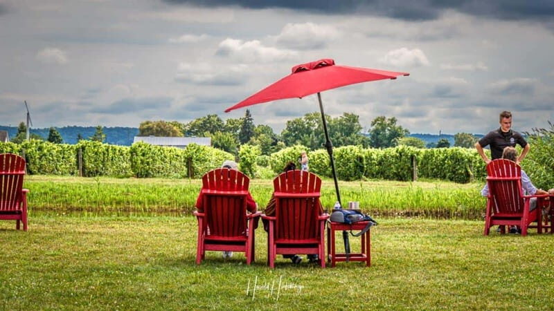 Niagara Falls, Canada: Escarpment Boutique Wine Tour - The Sum Up