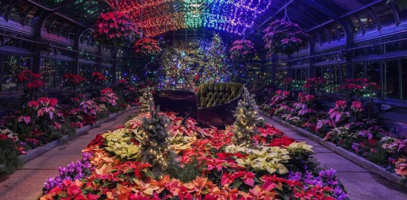 Niagara Falls, Canada: Winter Wonder Tour - Who Is This Tour Best For?