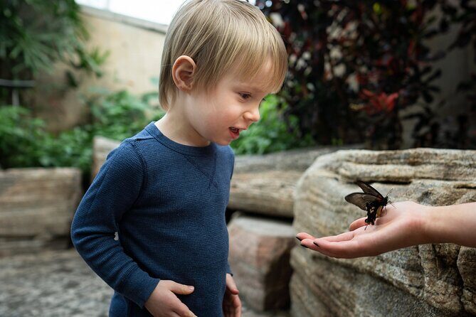 Niagara Falls Pass: 5 Iconic Attractions, WEGO Bus & Audio Guide - Audio Guide: Stories Behind the Sights