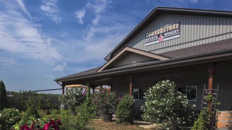 Niagara Falls: Public Niagara Wine Tour with Transportation - Who Should Book This Tour?