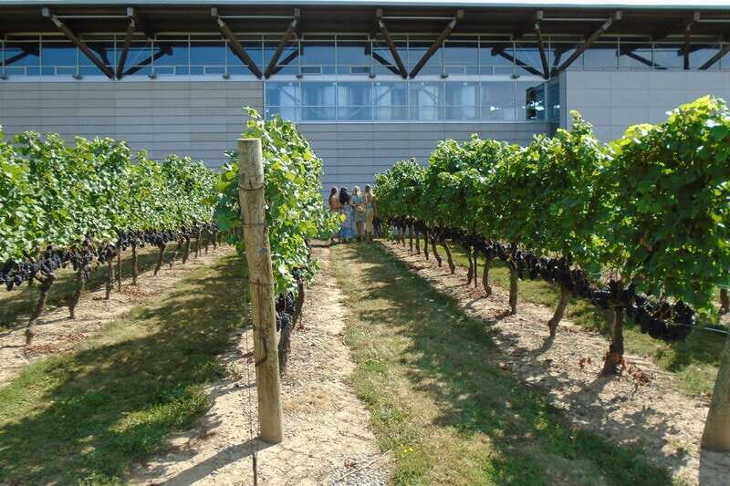 Niagara-on-the-Lake/Niagara Falls: Private Custom Day Trip - FAQ