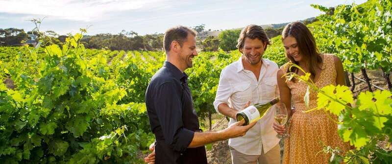 Niagara-on-the-Lake: Wine Tour with Tastings and Lunch - The Value for Money