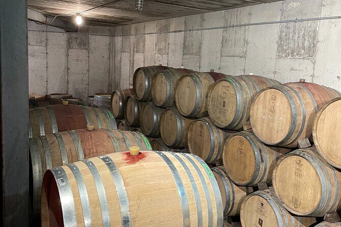 Niagara Wine Tasting and three courses Dinner - The Gourmet Dinner: A Highlight or a Surprise?