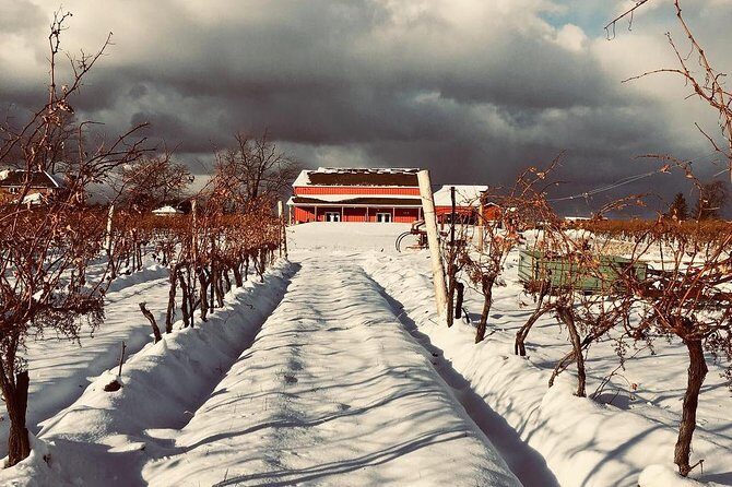 Niagara's Decadent Sparkling and Icewine Tasting - FAQs about Niagara’s Decadent Sparkling and Icewine Tasting