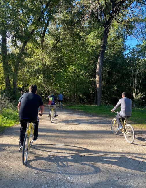 Nice: Adventure park in an exceptional natural setting - The Reviews: Authentic Insights