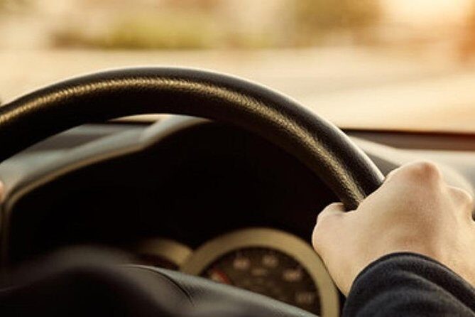 Nice Arrival Transfer: Airport to Monaco Cruise Port - Who Is This Transfer Best For?  