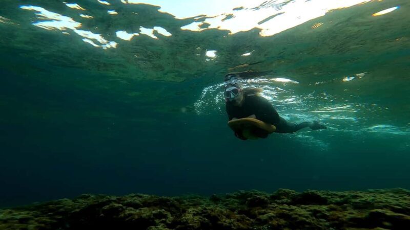 Nice, Cap d'Ail: Sea Scooter Snorkeling Tour - Who Should Consider This Experience?