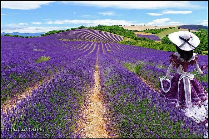 Nice: Gorges of Verdon and Fields of Lavender Tour - The Reality: What Travelers Are Saying