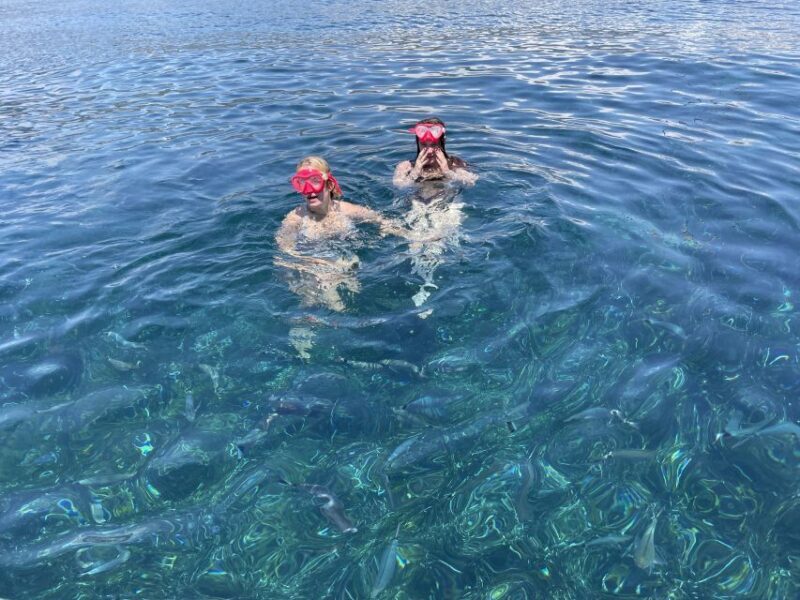 Nice: Monaco & Mala Caves Boat Trip with Snorkeling - Authentic Insights from Reviews