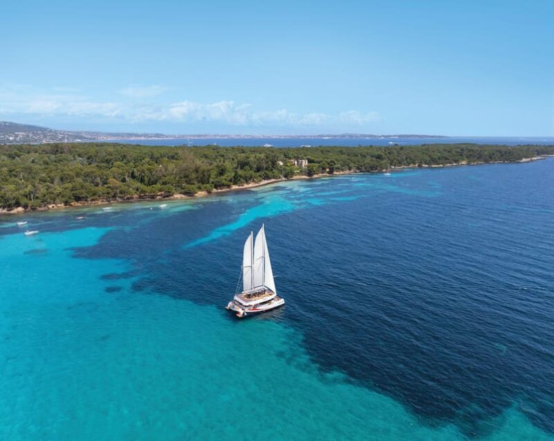 Nice: Morning Catamaran Discovery Tour - Guided Tour of the Coastline - An In-Depth Look at the Nice Morning Catamaran Tour