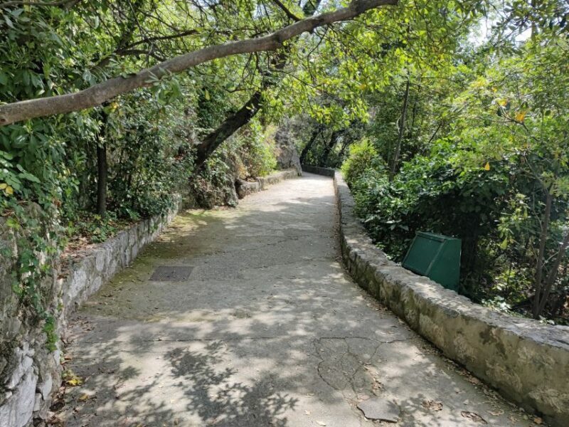 Nice: Sightseeing Walking Tour with certified tour guide - An Engaging Introduction to Nice’s Charm