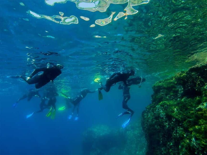 Nice: Snorkeling Speedboat Tour in Villefranche Bay - An Overview of the Experience