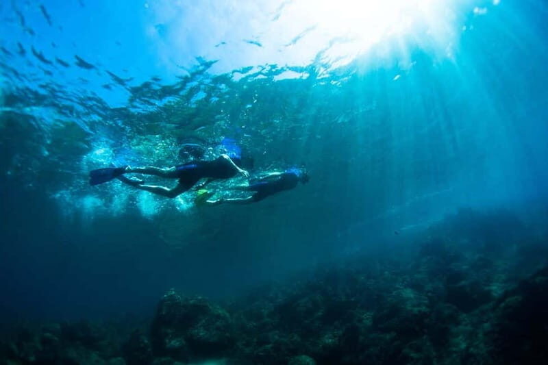 Nice: Snorkeling Speedboat Tour in Villefranche Bay - What Travelers Are Saying