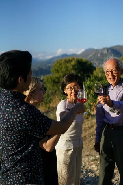 Nice: Vineyard Tour with Wine Tasting - An Authentic Taste of France’s Vineyards