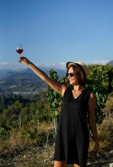 Nice: Vineyard Tour with Wine Tasting - Price and Value