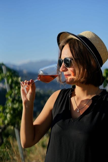 Nice: Vineyard Tour with Wine Tasting - Who Should Consider This Tour?