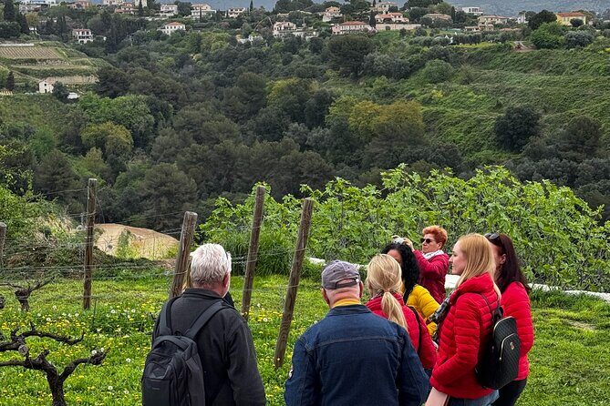 Nice Wine tasting in the hinterland in Defender - FAQ