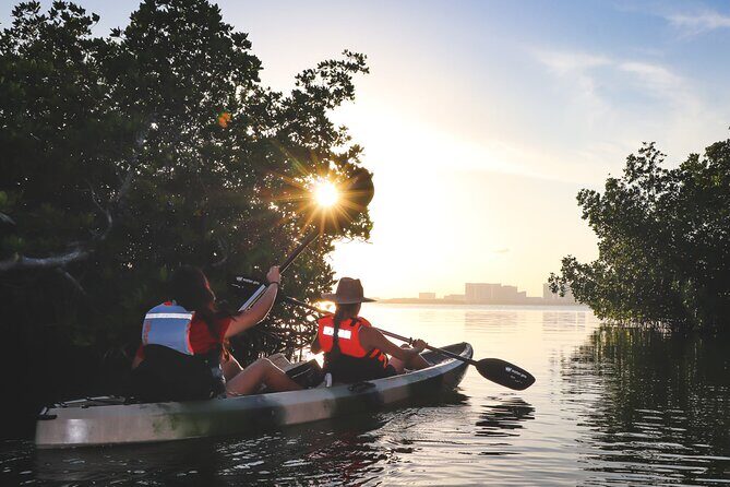 Nichupte Lagoon! Mangrove Kayaking Experience from Cancun - Key Points