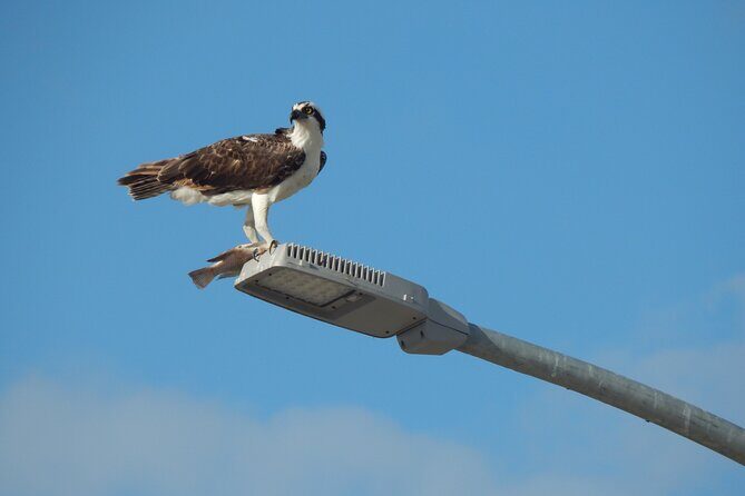 Nichupte Lagoon Wildlife Tour - Final Thoughts
