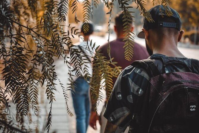 Nicosia: Last Divided City, Tour combining South & North - The Itinerary Breakdown