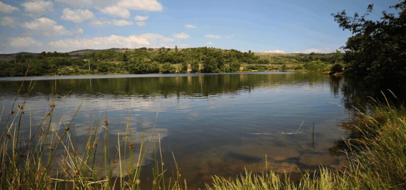 Nidderdale Driving Tour with an APP - An In-Depth Look at the Nidderdale Driving Tour