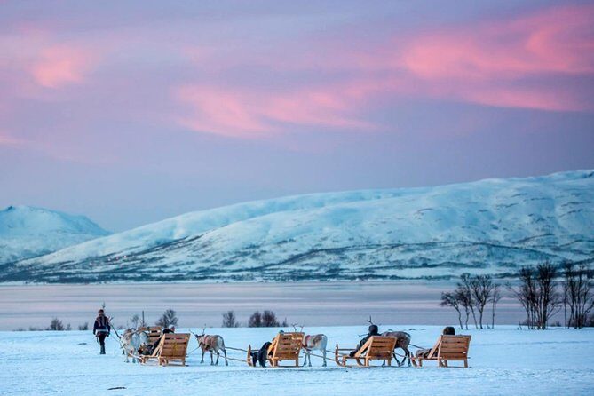 Night Reindeer Sledding with Camp Dinner and Chance of Northern Lights - FAQs