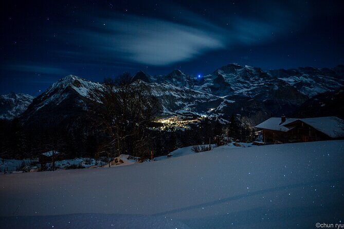 Night Sledding from Interlaken - The Sled Ride: Speed, Scenery, and Nighttime Magic