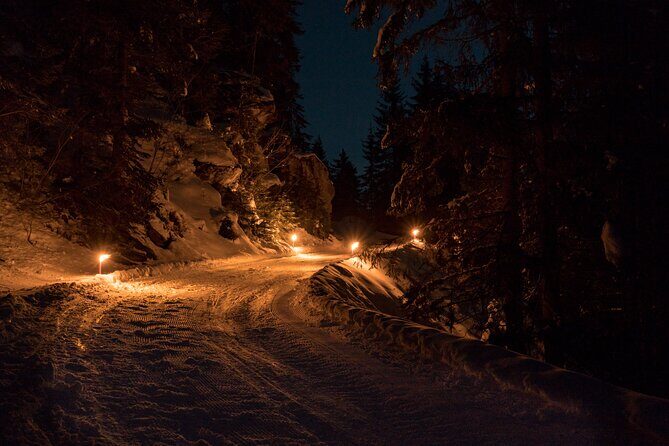 Night Sledding from Interlaken - What Travelers Are Saying