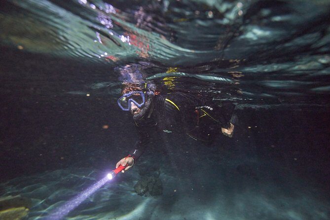 Night Snorkeling - Key Points