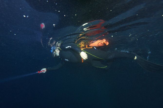 Night Snorkeling - FAQs