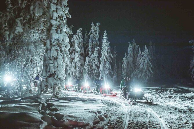 Night Snowmobile Safari, Rovaniemi - Safety and Group Dynamics