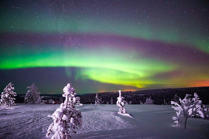 Night Snowshoeing Adventure under the Northern Lights - Key Points
