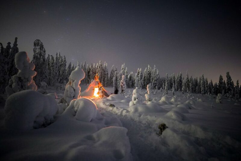 Night Snowshoeing Adventure under the Northern Lights - Practical Considerations & Value