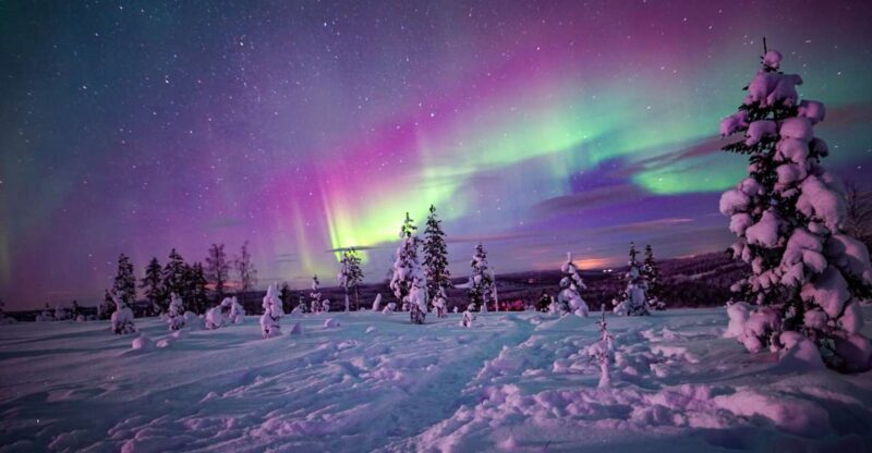 Night Snowshoeing Adventure under the Northern Lights - Final Thoughts: Who Should Book?