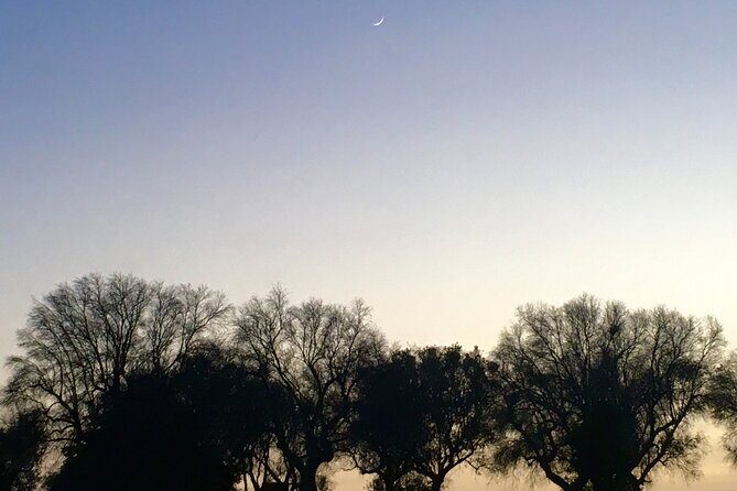 Night Tour in an Ancient Lost City near Lecce - Who Will Love This Tour?