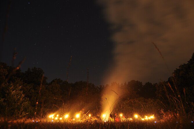 Night Tour in Hoia Baciu Forest - An In-Depth Look at the Night Tour in Hoia Baciu Forest