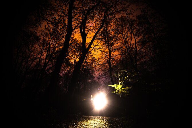 Night Tour in Hoia Baciu Forest - Who Should Consider This Tour?