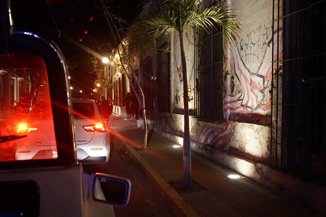 Night tour in lungonia along the boardwalk - The Sum Up: Is It Worth It?